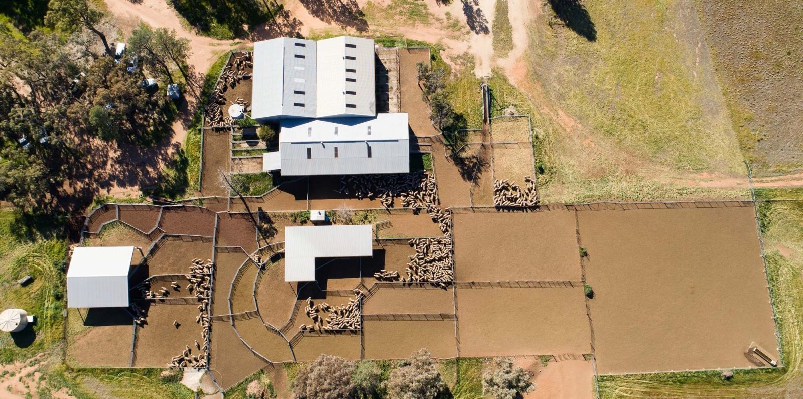 Paraway Pastoral sale process activates, seeking +$2.5 billion - Sheep ...