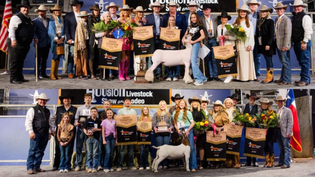Market lamb sells for $1 million at Houston livestock show - Sheep Central