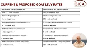 Bookings open for goat industry levy review roadshow - Sheep Central