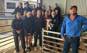 Prime lamb school project fosters next generation of ag leaders - Sheep ...