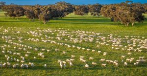Weekly property review: Lack of action on foreign land tax noted ...