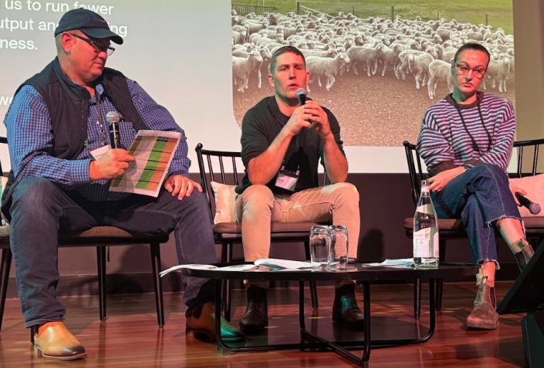 Caution on getting 'wool-blind' vs running a balanced Merino - Sheep ...